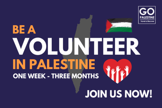 Fly to Palestine : Routes & Borders